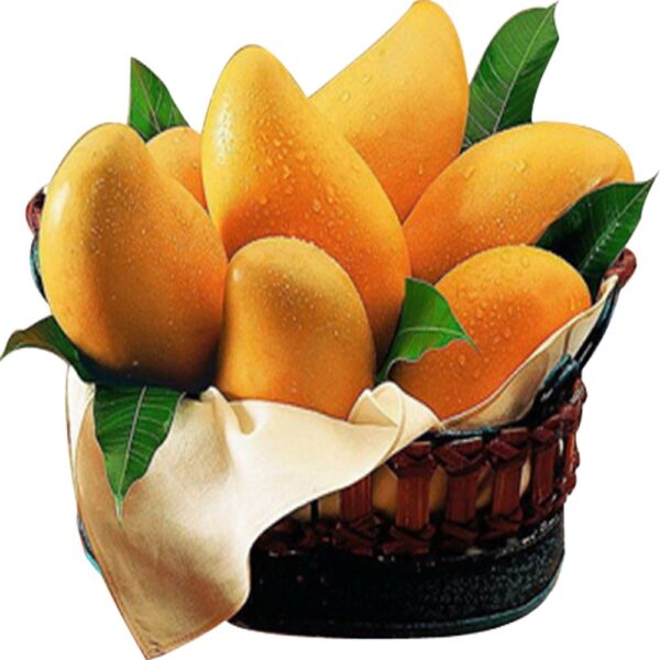 MANGO BASKET 10Kgs - Natural Mangoes, ARNV Farms