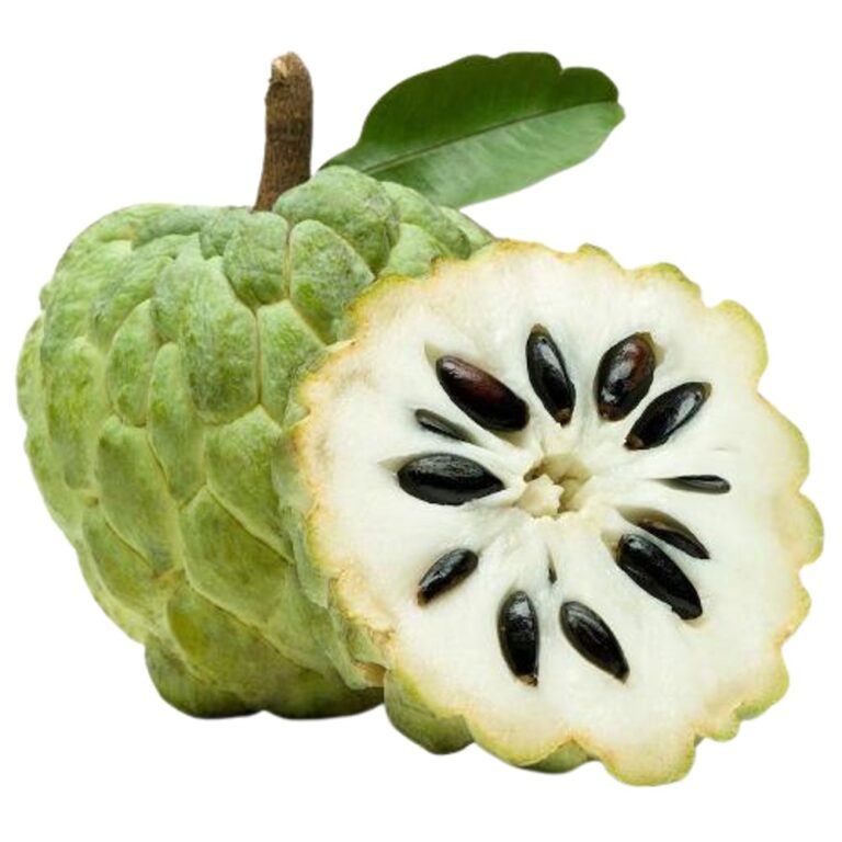 Custard Apple - Natural Mangoes, ARNV Farms