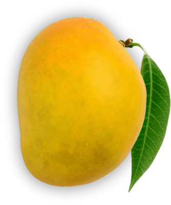 Home - Natural Mangoes, ARNV Farms