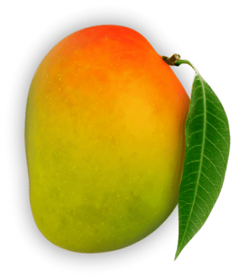Home - Natural Mangoes, ARNV Farms